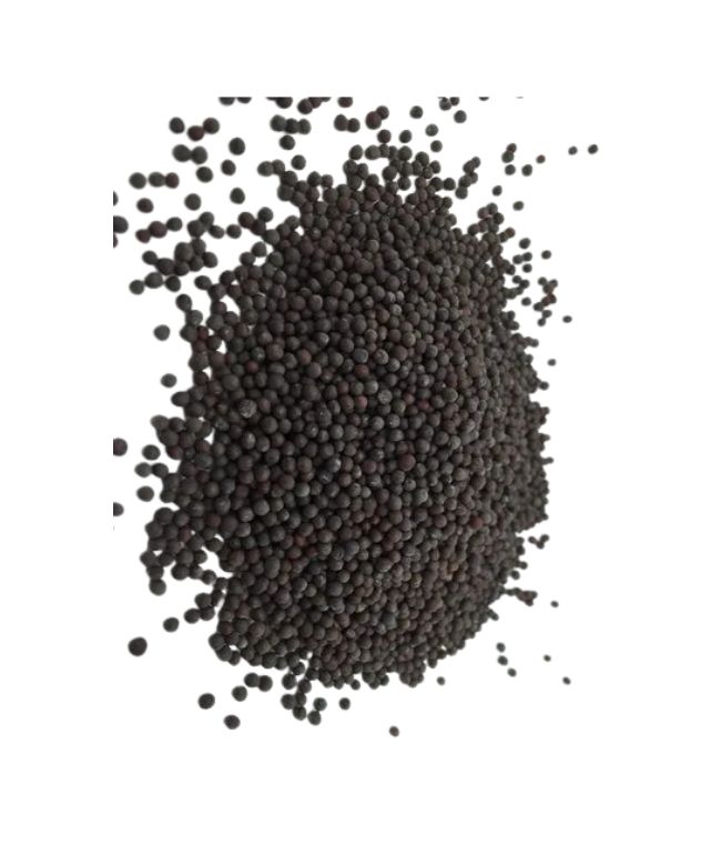 RAI (Black Mustard Seed Small), 500 gm – Resto Rashan