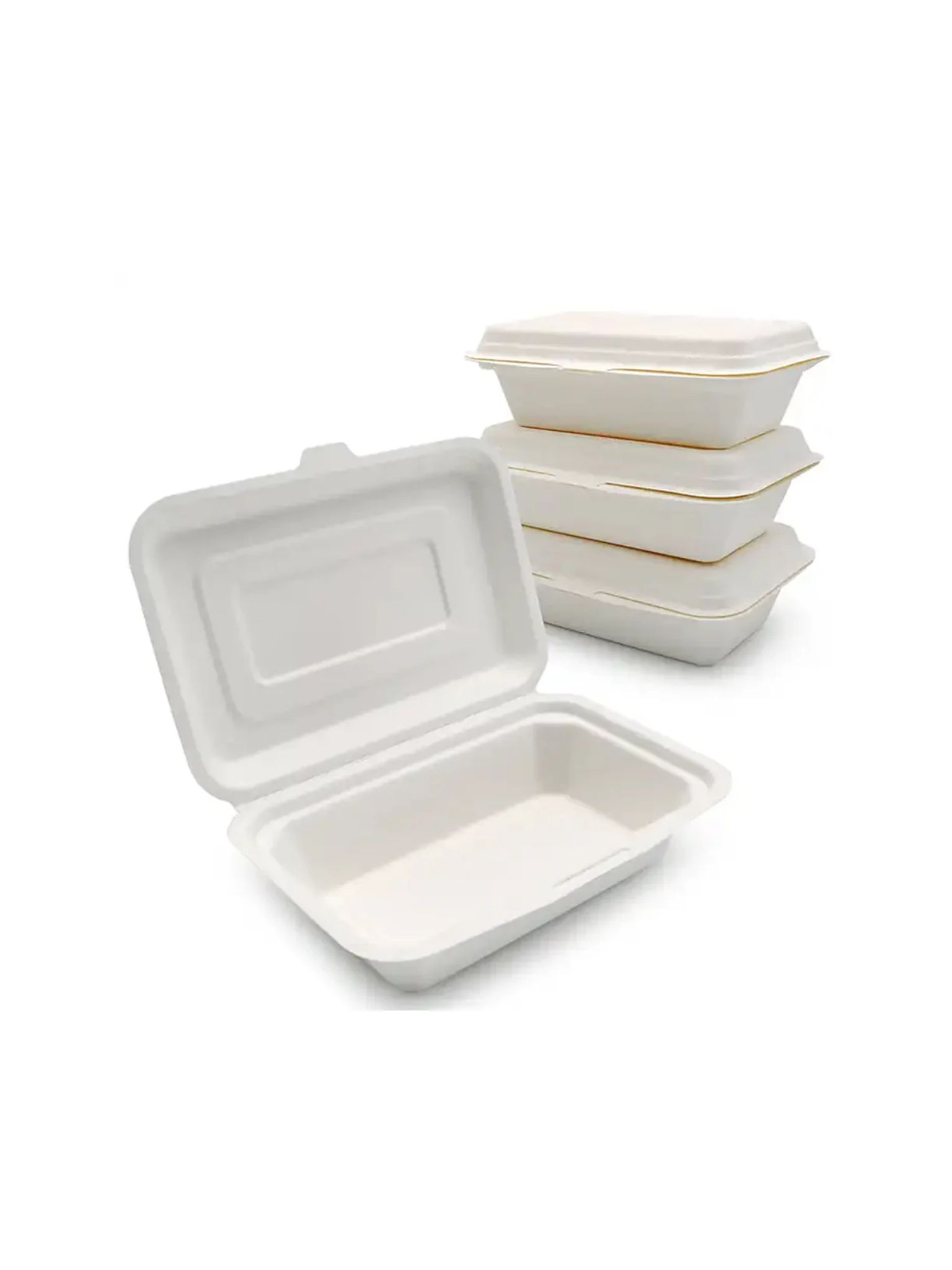 9×6 Inch Clamshell Bagasse Container (Pack of 100) – Resto Rashan